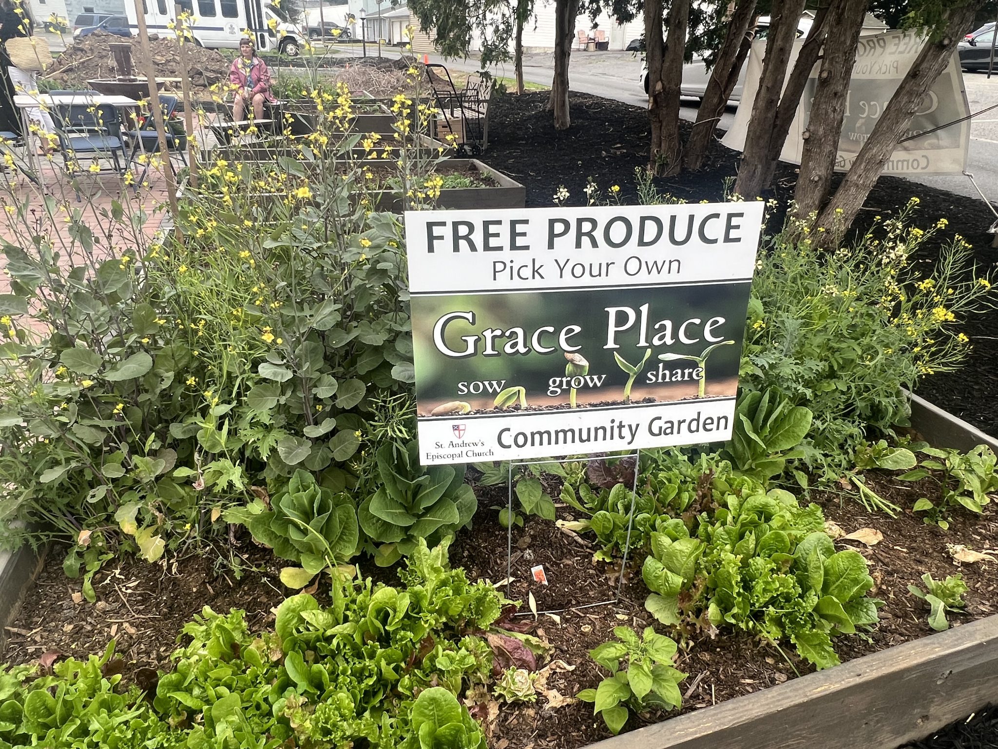 Creation Care & The Beloved Community on Facebook Live – 9/20 @7 PM ...